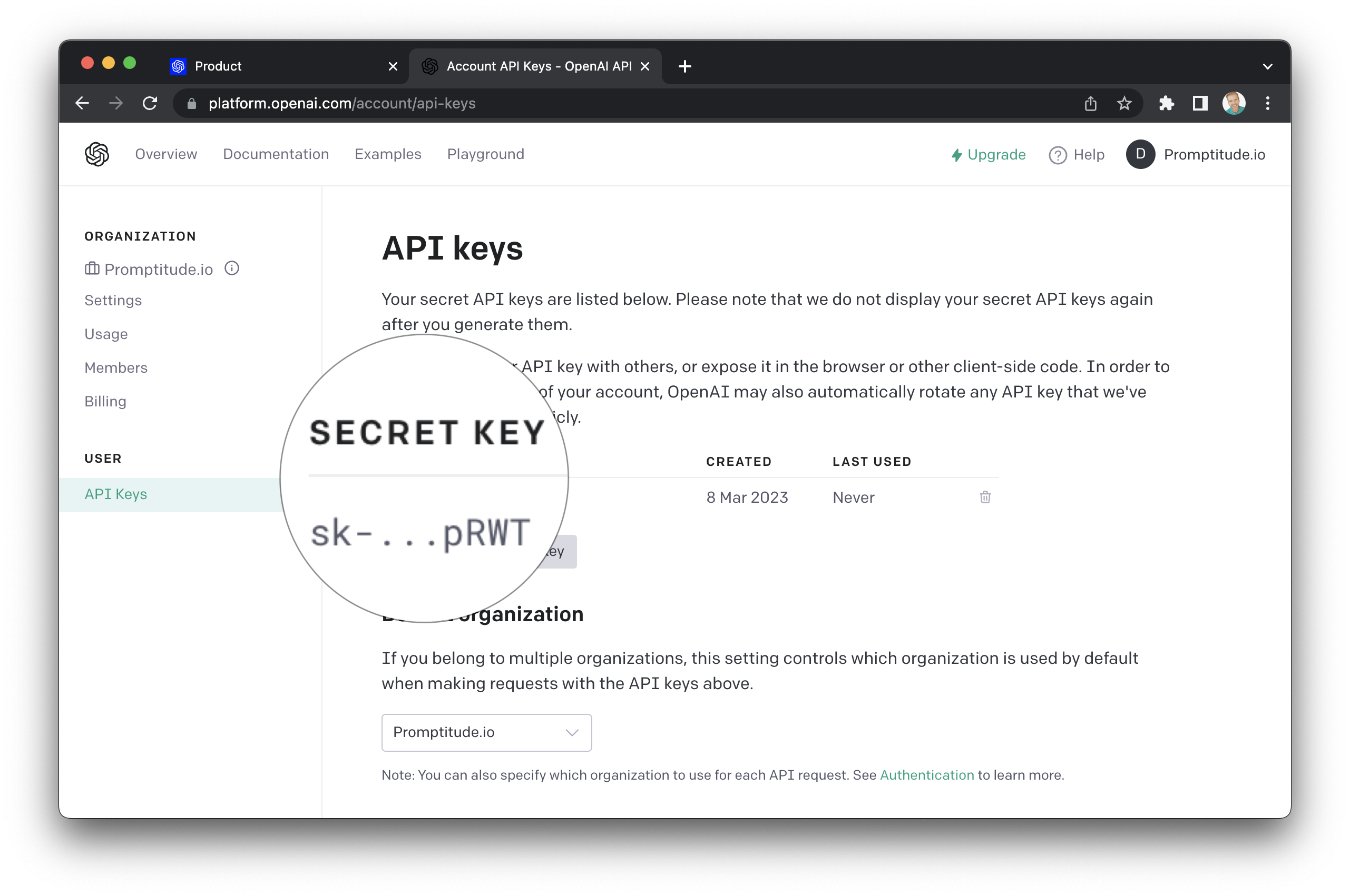 How To Get Your API Key For OpenAI How To Get Your API Key For OpenAI
